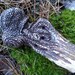 The Handle of the Knife "octopus".the Handle for the Cane. - Etsy