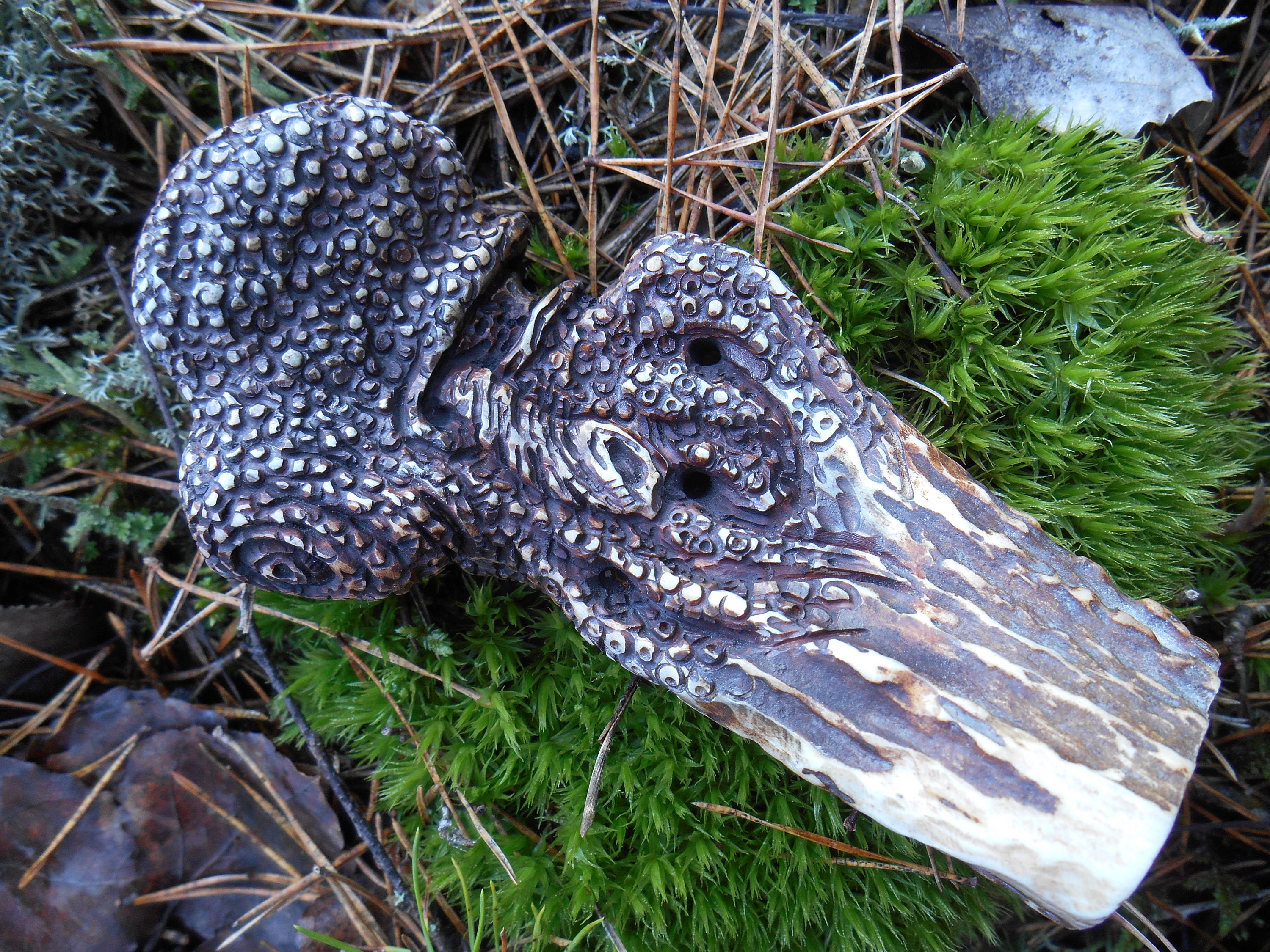 The Handle of the Knife "octopus".the Handle for the Cane. - Etsy