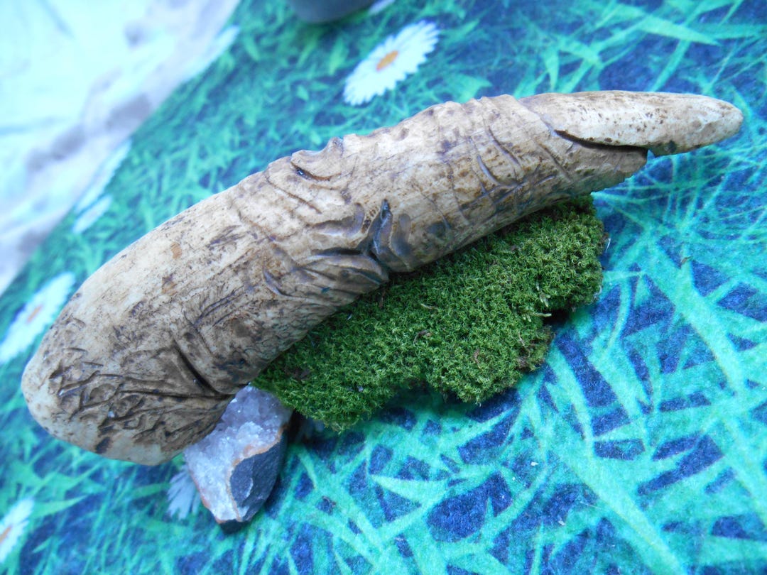 The Handle of the Knife "predator Claw. - Etsy