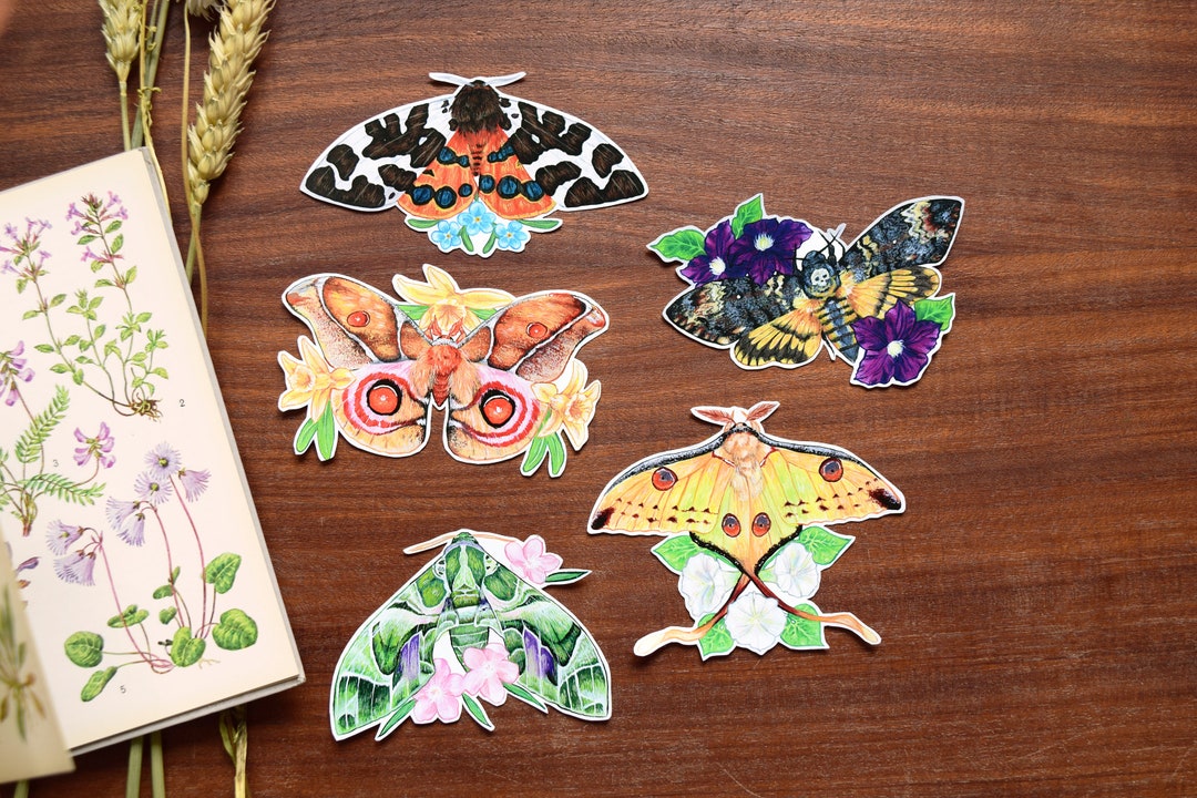 Mighty Moths // Illustrated Sticker Set - Etsy