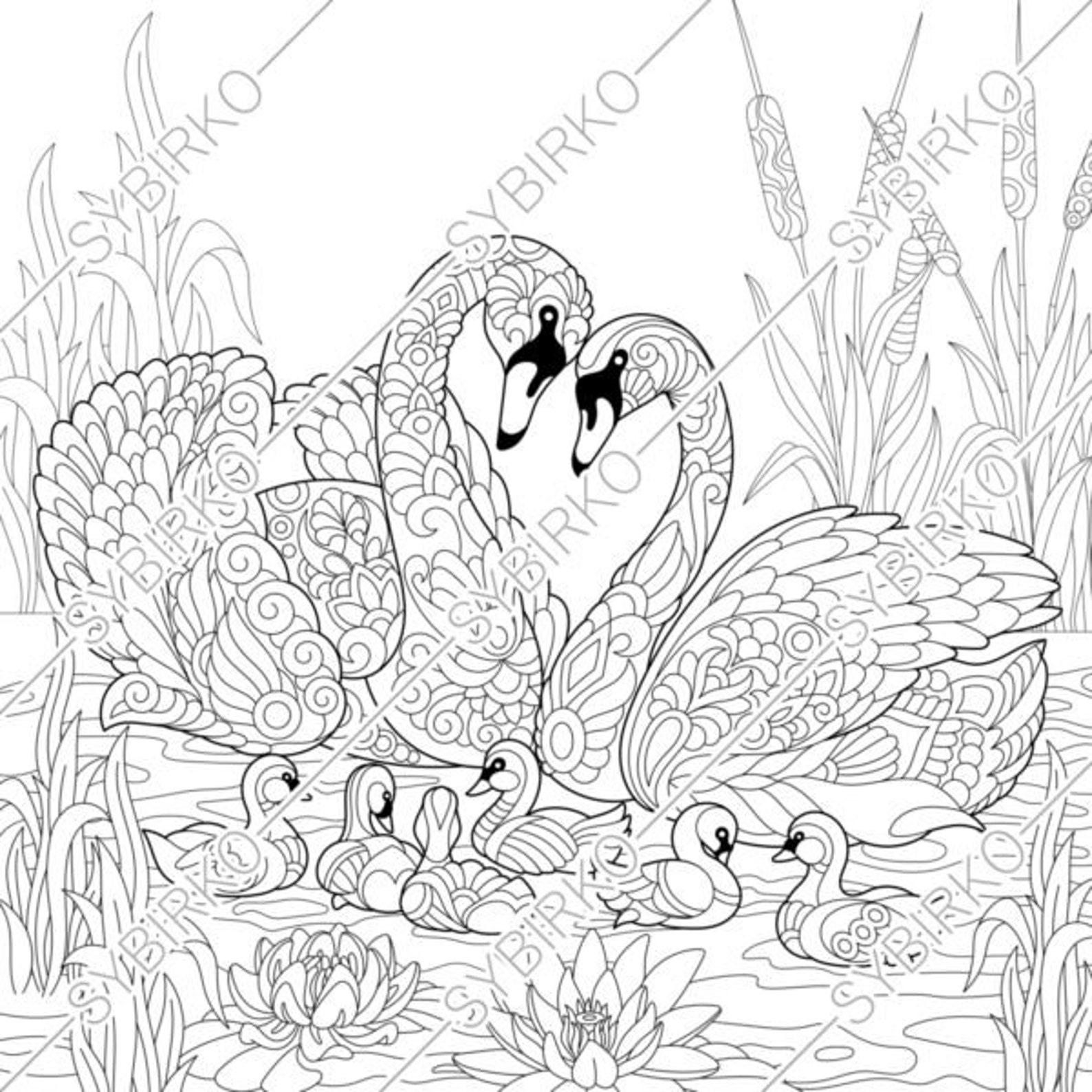 Coloring Pages for Adults. Swan Family. Adult Coloring Pages. | Etsy