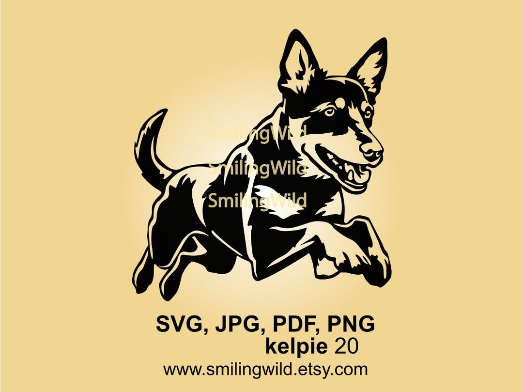 Jumping Australian Kelpie SVG & PNG Clipart: Working Dog Vector Graphic ...