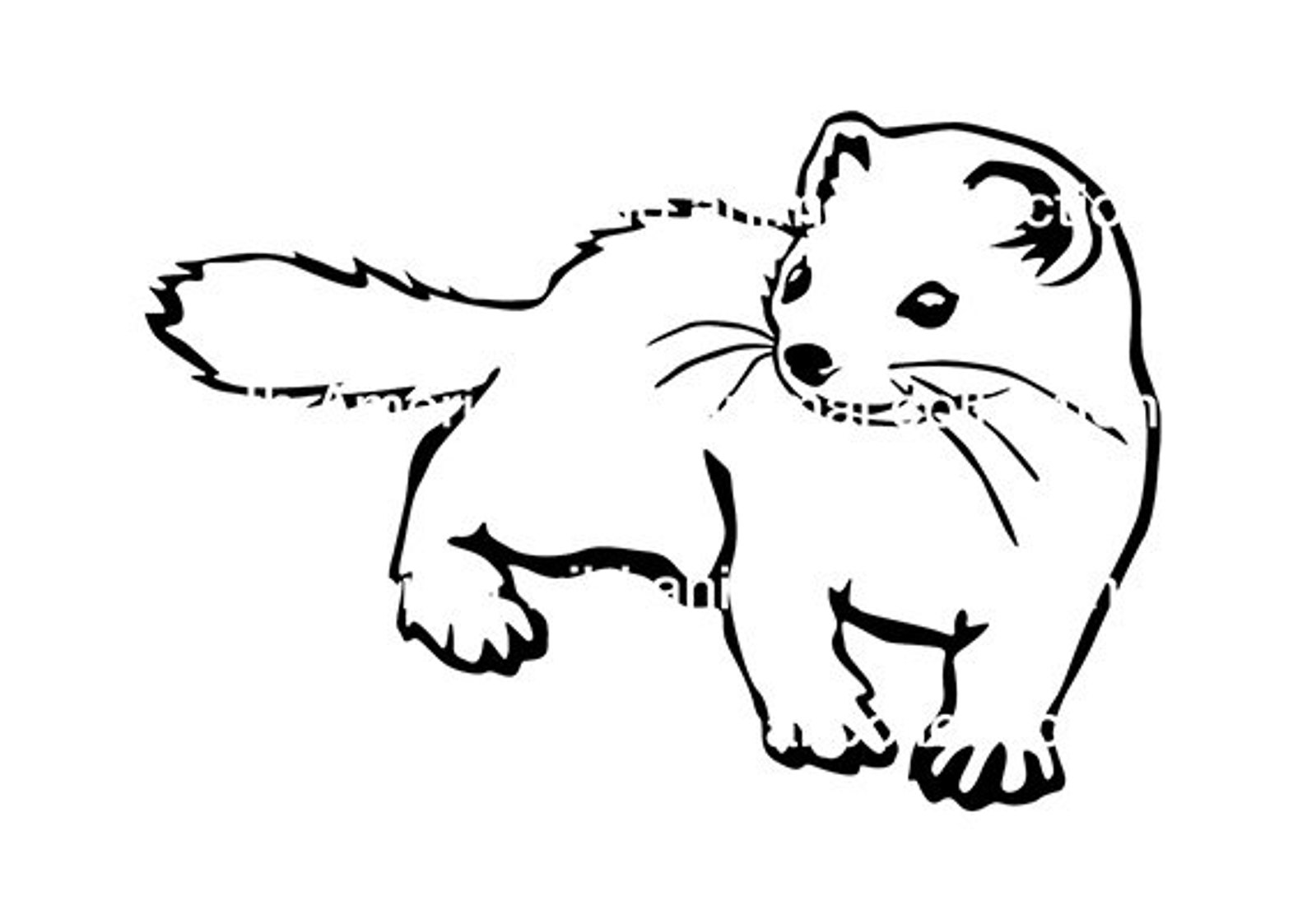 Short Tailed Weasel Svg Stoat Clipart Cut File Cuttable - Etsy