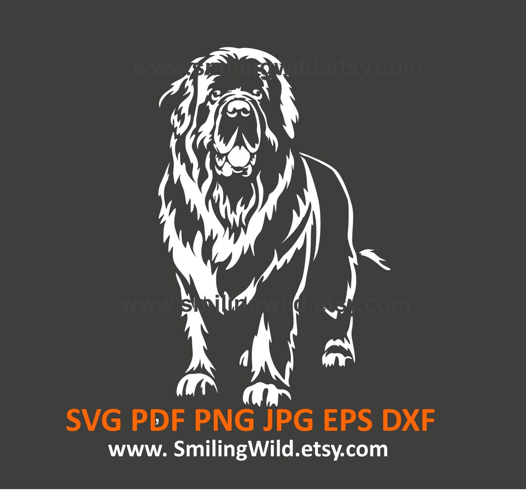 Newfoundland Vector Graphic: Realistic Dog White Clipart (SVG, PNG, DXF ...