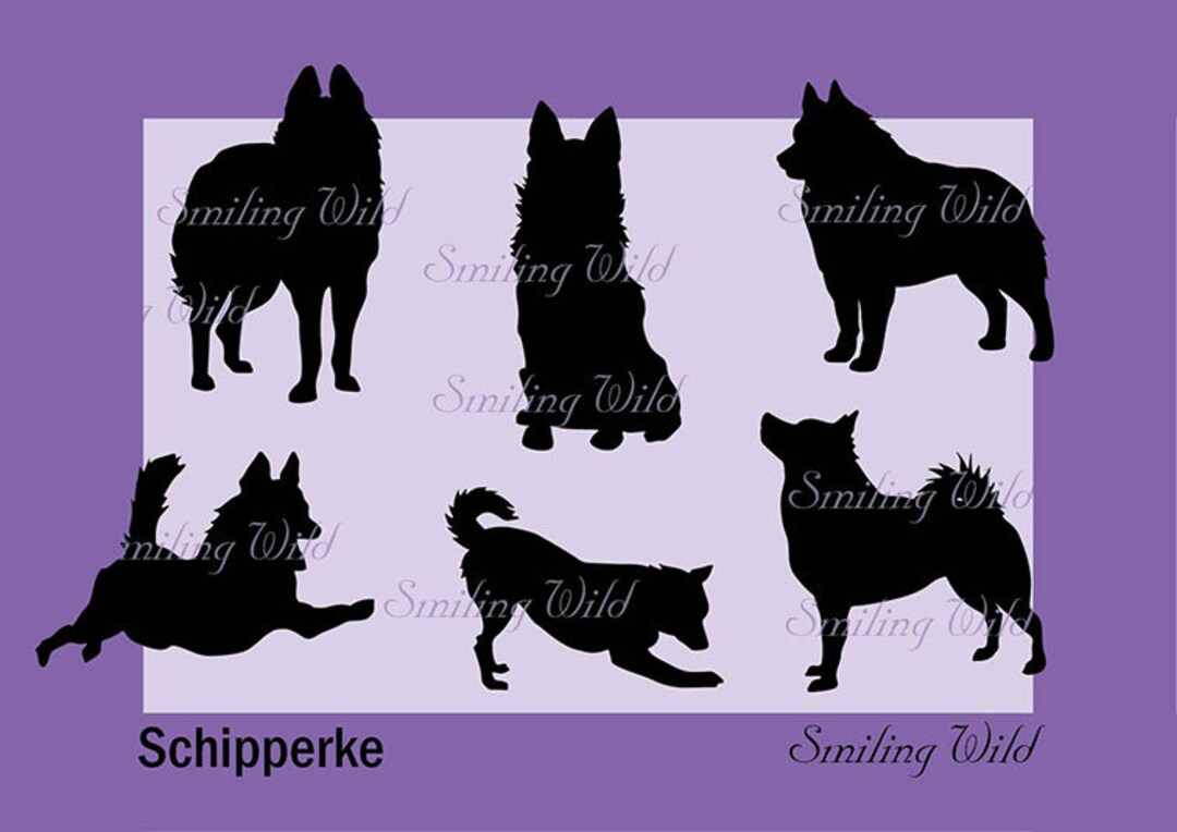 Schipperke Silhouette Svg Png Schipperke Vector Graphic Art Design ...