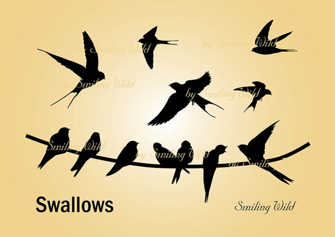 Swallow Silhouette Clipart Svg Birds on Whire Png Flying Swallow Vector ...