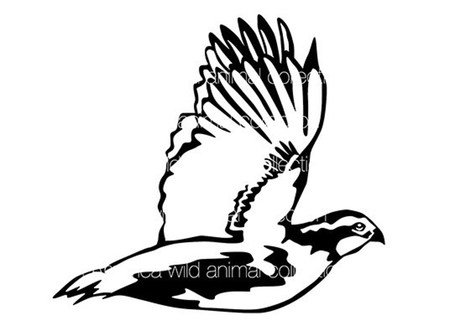 Northern Bobwhite Svg Game Bird Clipart Vector Graphic Art Cut - Etsy