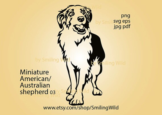 Miniature American Shepherd Svg Mini Aussie Vector Graphic Art | Etsy