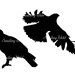 Hawk Silhouette Svg Clipart American Hawk Cutout Printable Bird Falk ...