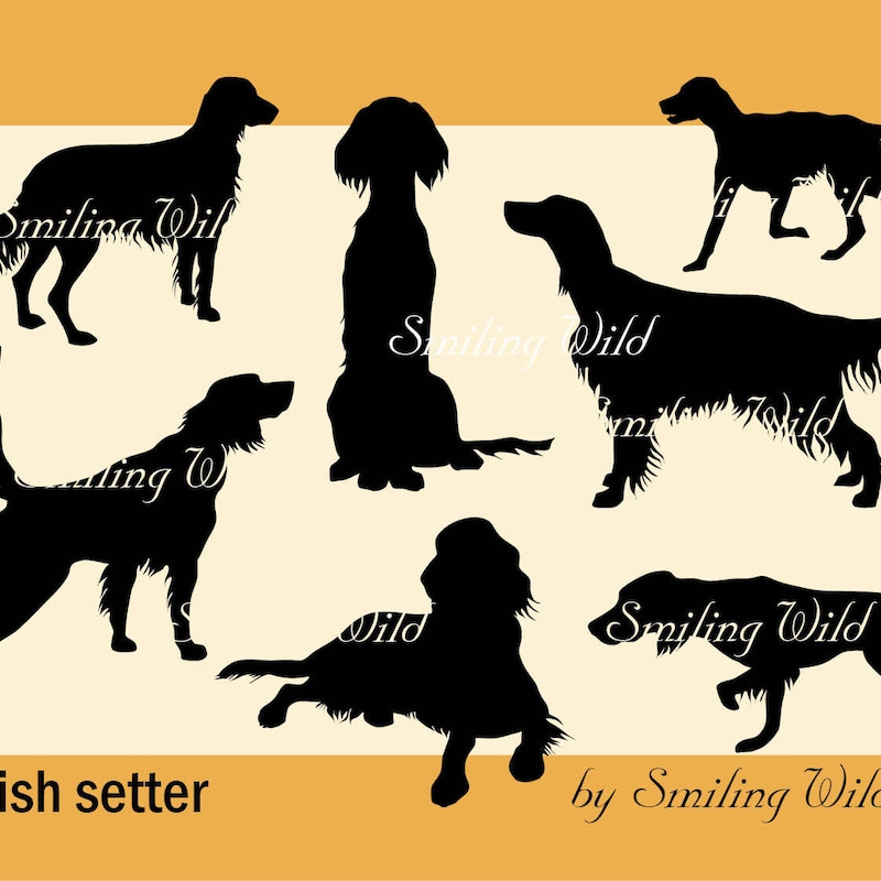 Irish Setter Art - Etsy