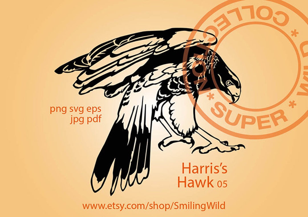 Harris's Hawk Svg Clip Art Birds of Prey Svg Vector Graphic Art Artwork ...