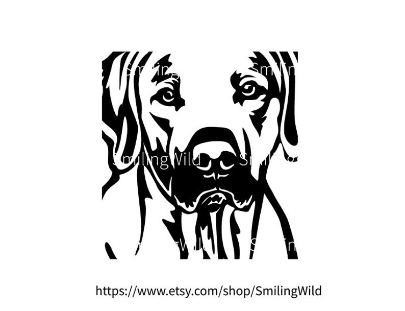 Rhodesian Ridgeback Dog Face Svg Clip Art Vector Graphic - Etsy