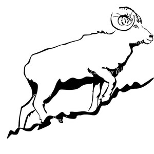 Dall Sheep Svg Clipart Thinhorn Sheep Vector Graphic Art Stone Sheep ...