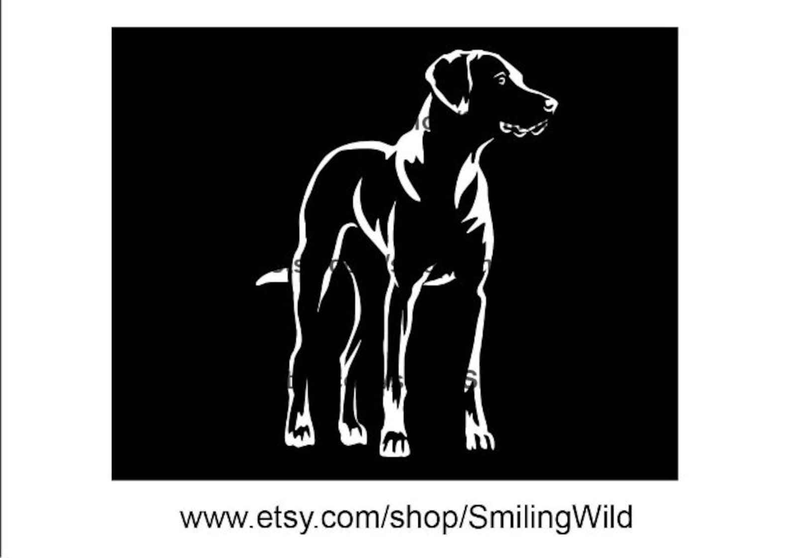 Rhodesian Ridgeback Svg Vector Graphic Design Rhodesian | Etsy