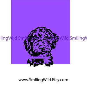 Cockapoo Svg Portrait Vecor Graphic Art Dog Head Cut File Cockapoo Clip ...