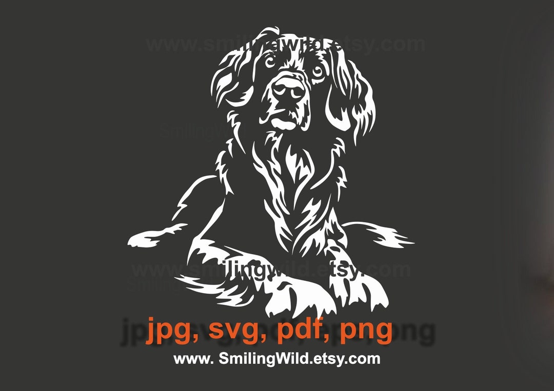 Stabyhoun Dog Portrait Svg Clip Art White Print on Black Stabyhoun ...