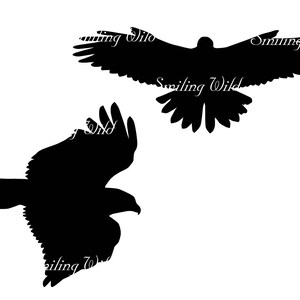 Hawk Silhouette Svg Clipart American Hawk Cutout Printable Bird Falk ...