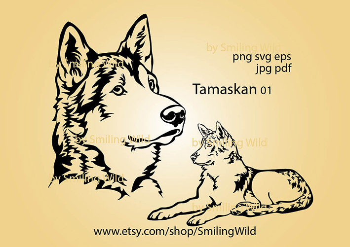 Tamaskan dog svg vector art clipart Tamaskan lying dog cut | Etsy