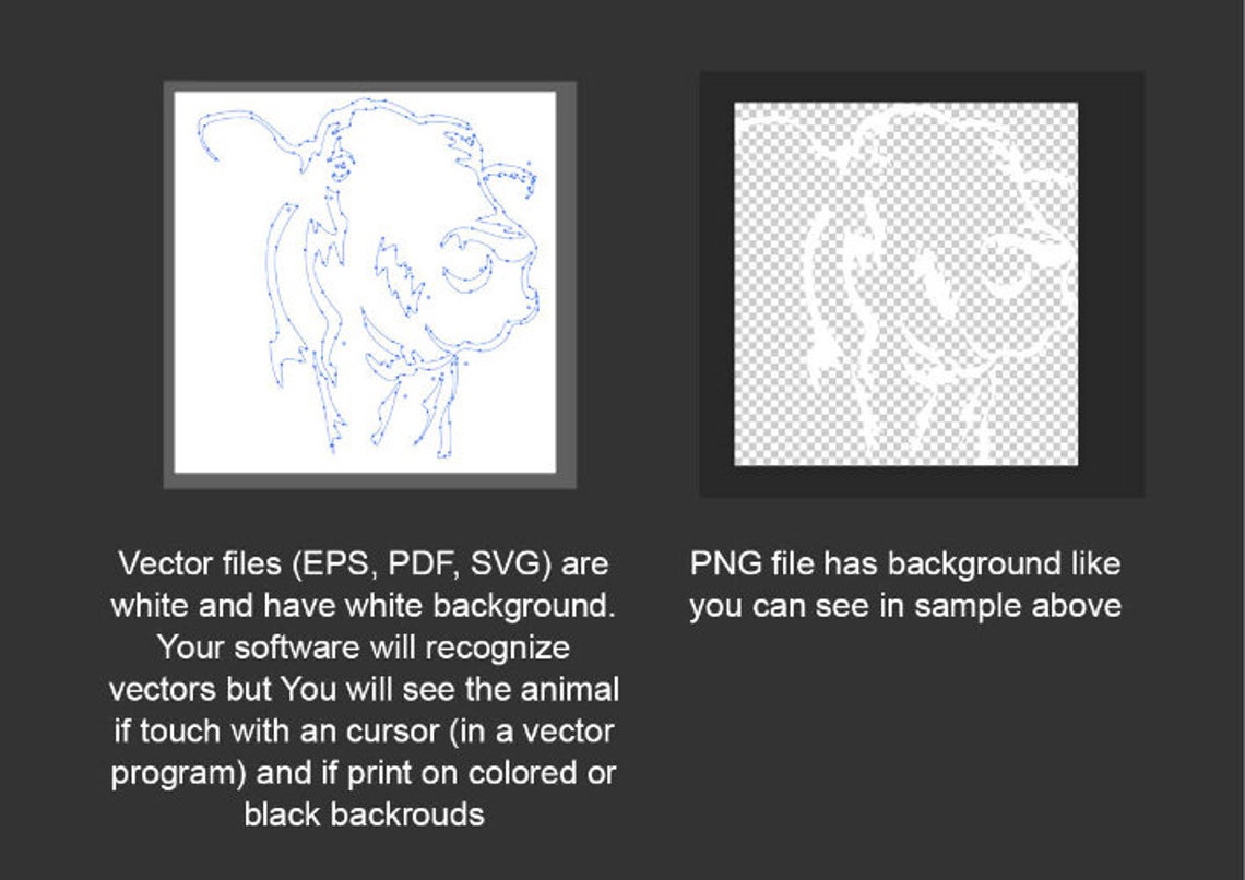 Black Angus Bull Svg Face Clip Art Vector Graphic Black - Etsy