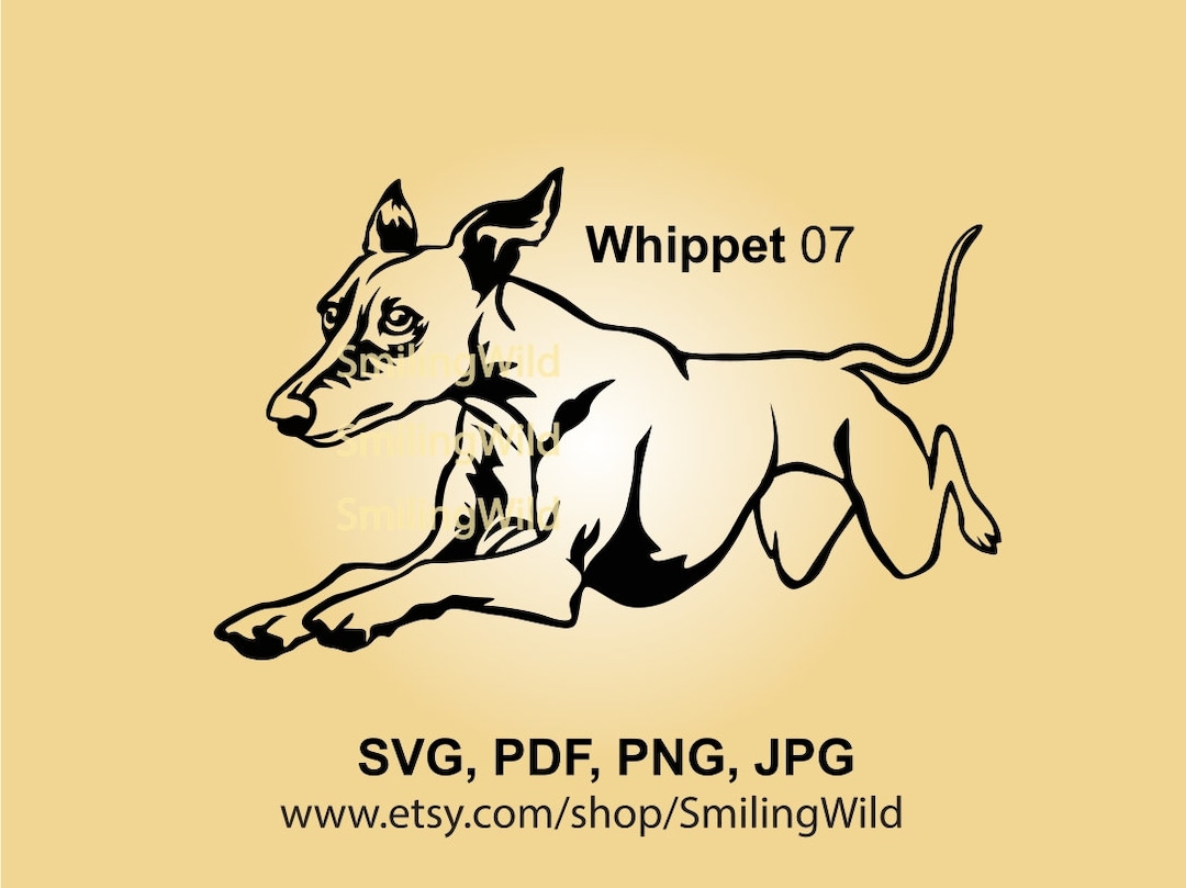 Jumping Whippet Svg Cuttable Clip Art Design, Running Whippet Dog ...