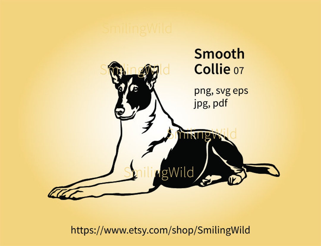 Smooth Collie Svg Dog Clip Art Vector Graphic Illustration Smooth ...