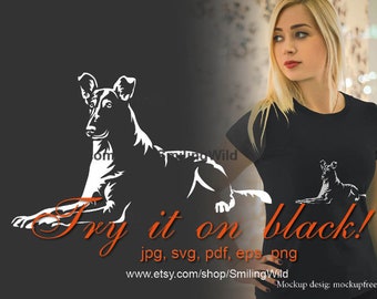 Smooth Collie Design - Etsy