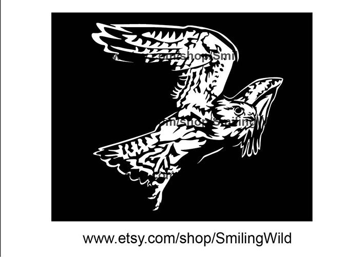 Flying Bird Svg Falcon Svg Vector Art Cut File Birds of Prey - Etsy Finland