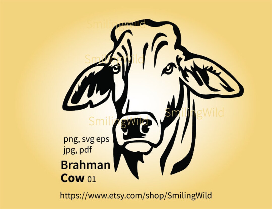 Brahman Cow SVG & PNG: Cattle Vectorart Graphic Clipart - Etsy Australia