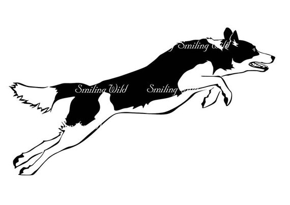 Running Dog Vector