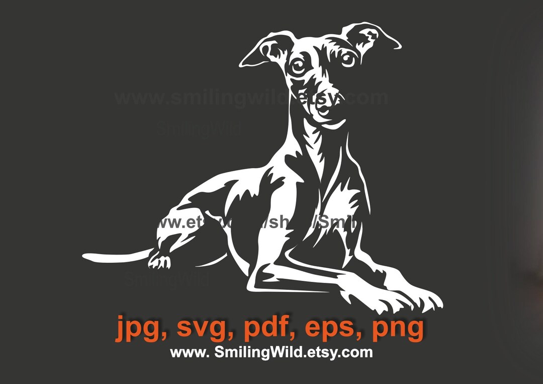 Whippet Svg Dog Clip Art Art Portrait Whippet Sighthound Svg Cuttable ...