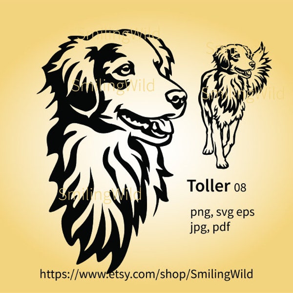 Duck Toller Portrait - Etsy