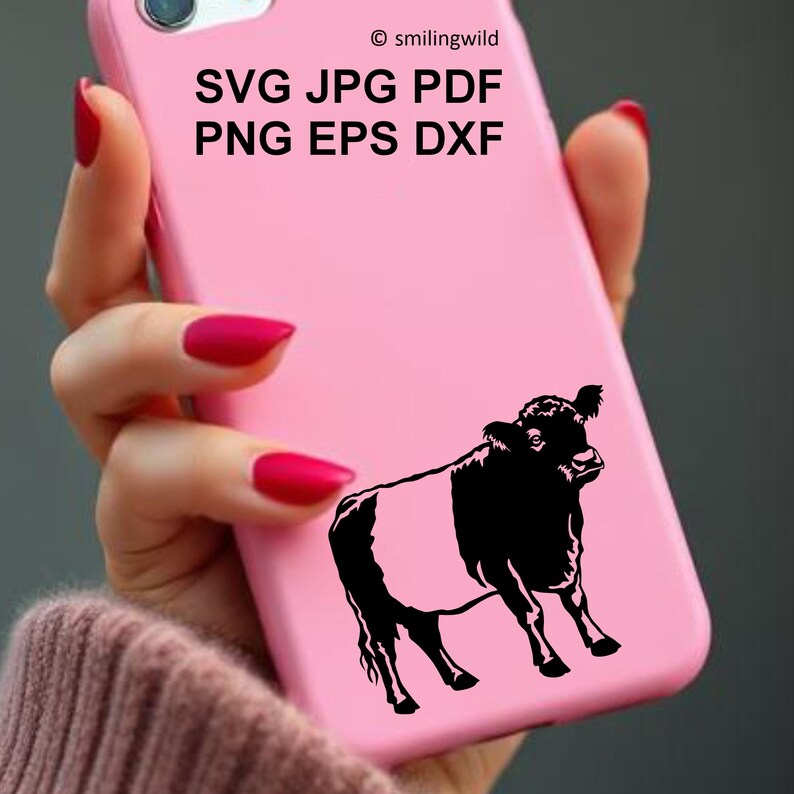 Belted Galloway Cattle SVG PNG DXF – Cow Cuttable Vector Clipart ...