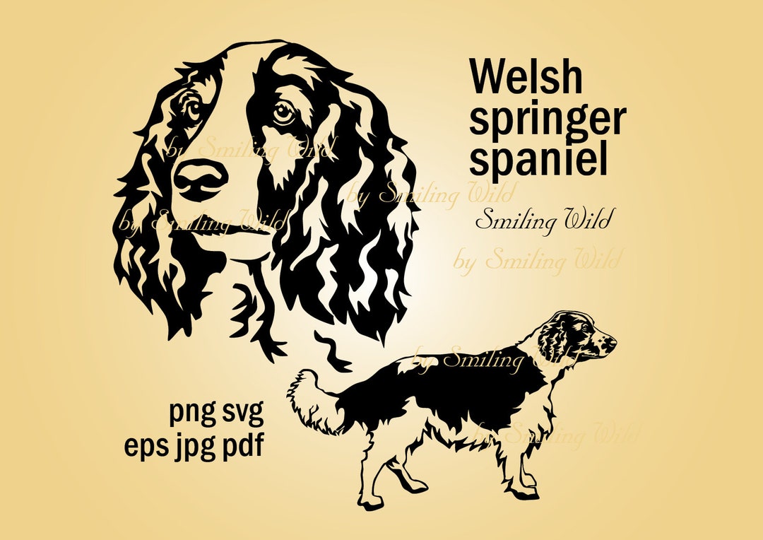 Welsh Springer Spaniel Svg Clipart Vector Graphic Art Welsh Springer ...