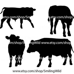 Simmental Cow Svg Silhouette, Bull Vector Art, Simmental Cattle Clipart ...