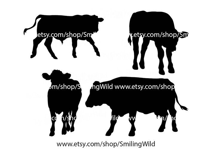 Simmental Cow SVG, PNG Silhouette Bundle: Bull Vector Art (cricut and ...