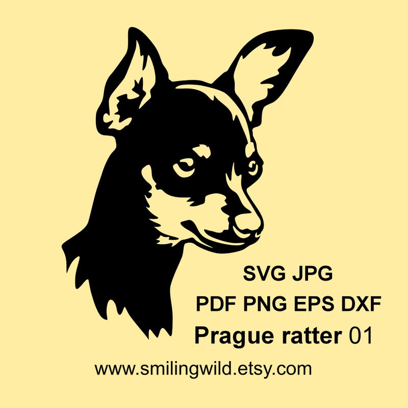 SmilingWild - Etsy