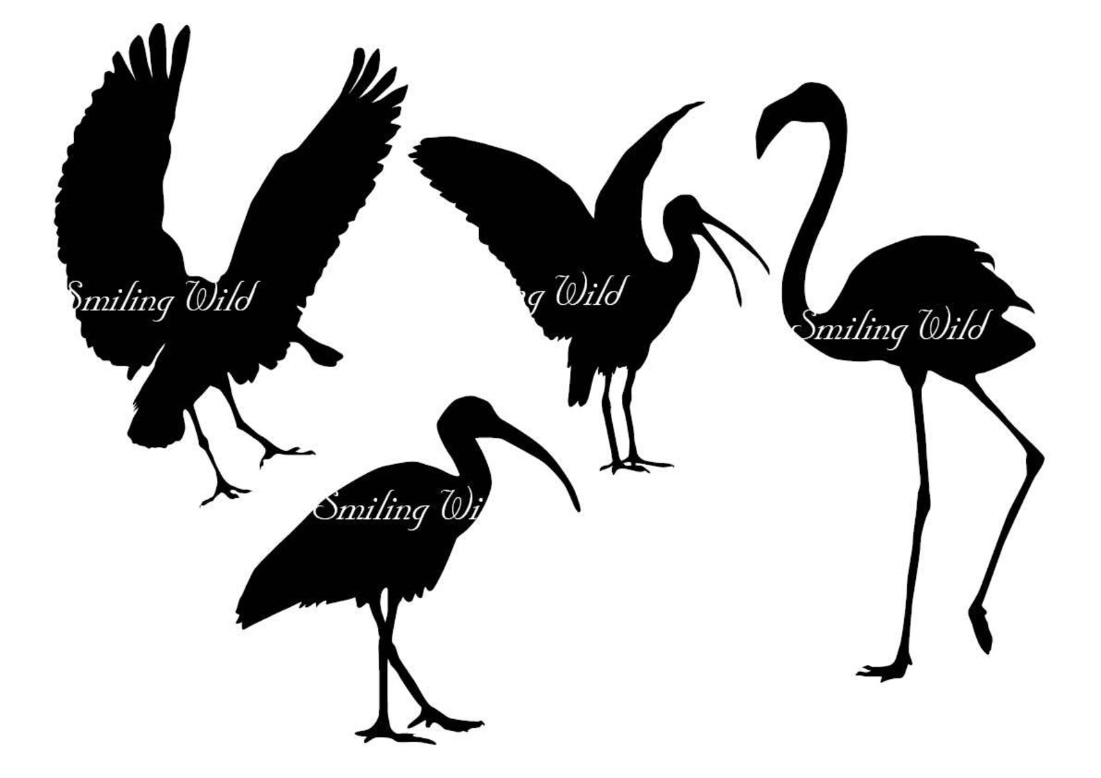 Bird Svg Silhouette Tropical Bird Clipart Pelican Ibis Roseate - Etsy