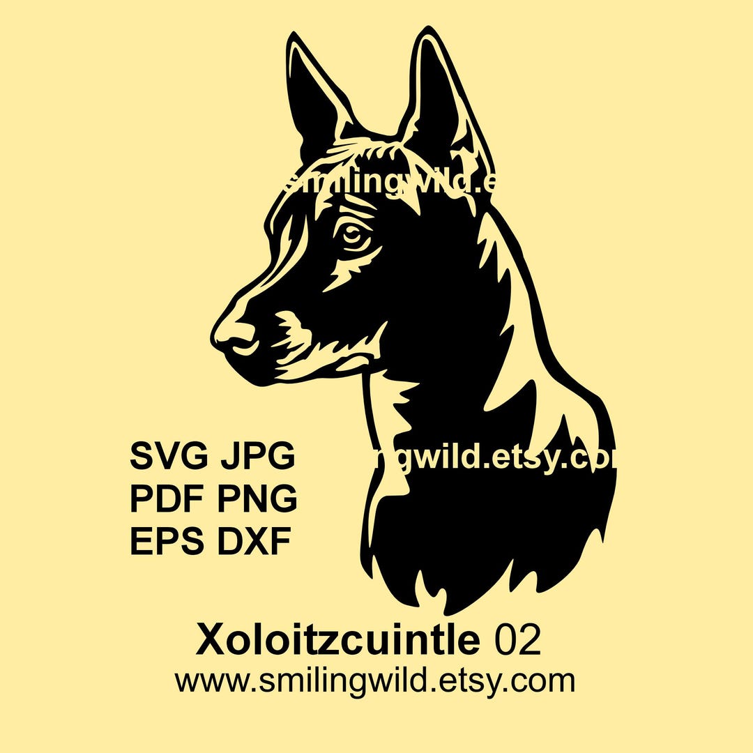 Xoloitzcuintle Dog SVG & PNG, DXF Xolo Clipart – Realistic Black ...