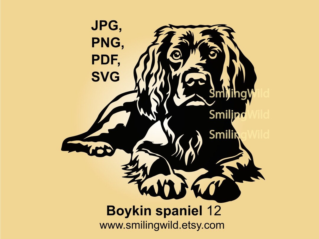Boykin Spaniel Svg Clip Art Illustration, Laying Dog Cut File - Etsy
