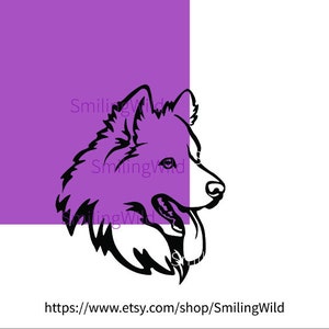 Samoyed Dog Svg Vector Graphic Portrait Dog Png Illustration - Etsy