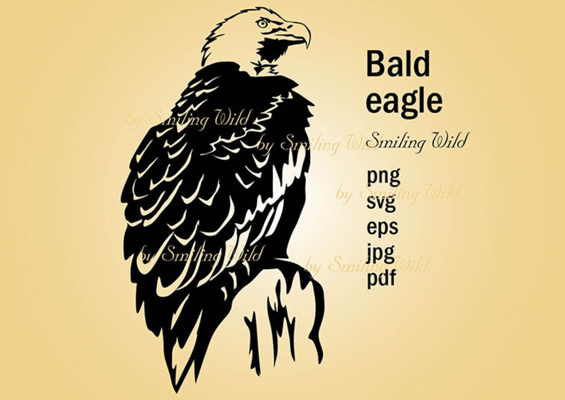 Bald eagle svg clipat bald eagle vector graphic art printable | Etsy