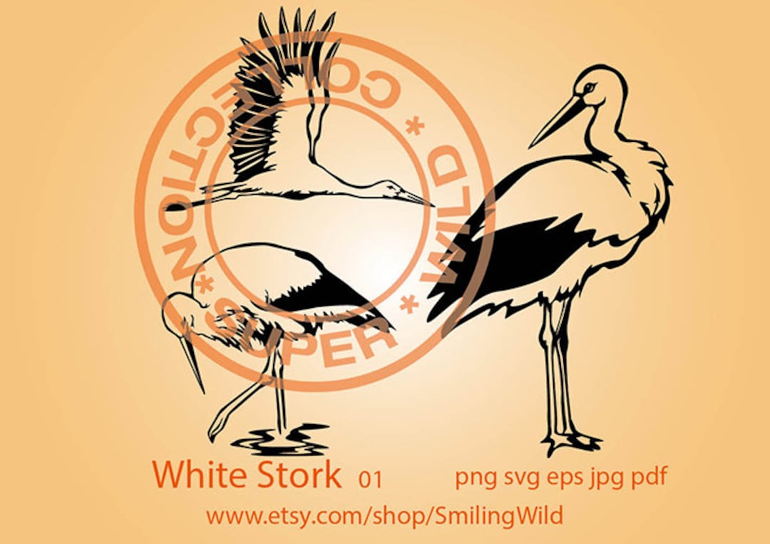 White Stork Svg Flying Bird Vector Graphic Art Stork Cut File Digital ...