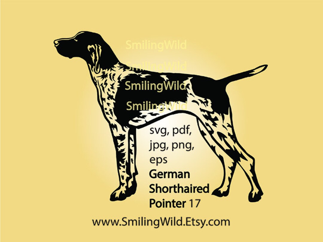 German Shorthaired Pointer Svg Dog Portrait Kurzhaar Cut File Clip Art ...