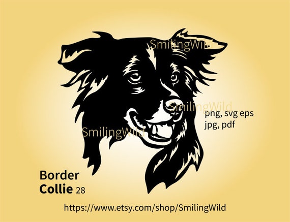 Border Collie Dog Svg Face Vector Clip Art Border Collie | Etsy