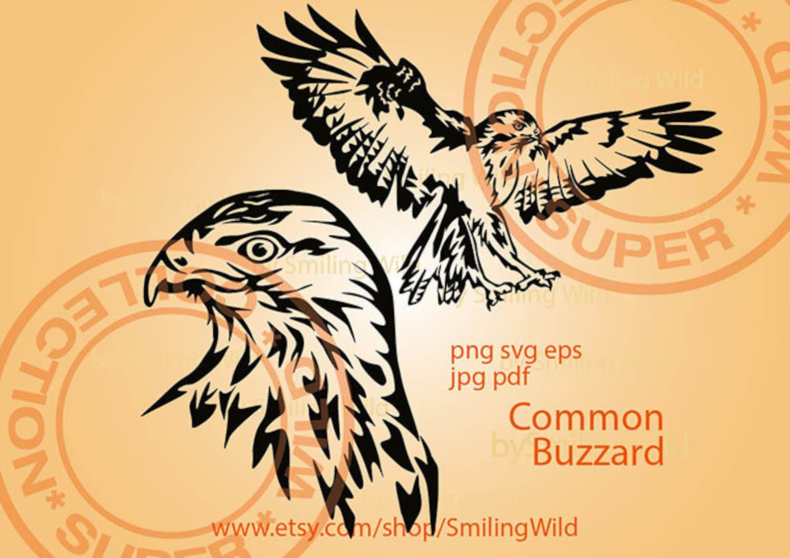 Flying bird Buzzard svg vector graphic art buzzard birds of | Etsy