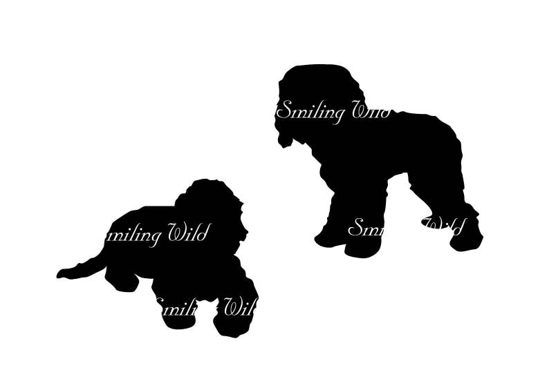 Cockapoo Silhouette Svg Printable Gift Png Clipart Cockapoo - Etsy