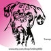 Boxer Dog Breed Svg /03/ Boxer Face Vector Graphic Art Logo Creation ...