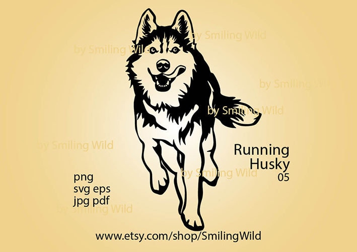 Running Husky Drawings
