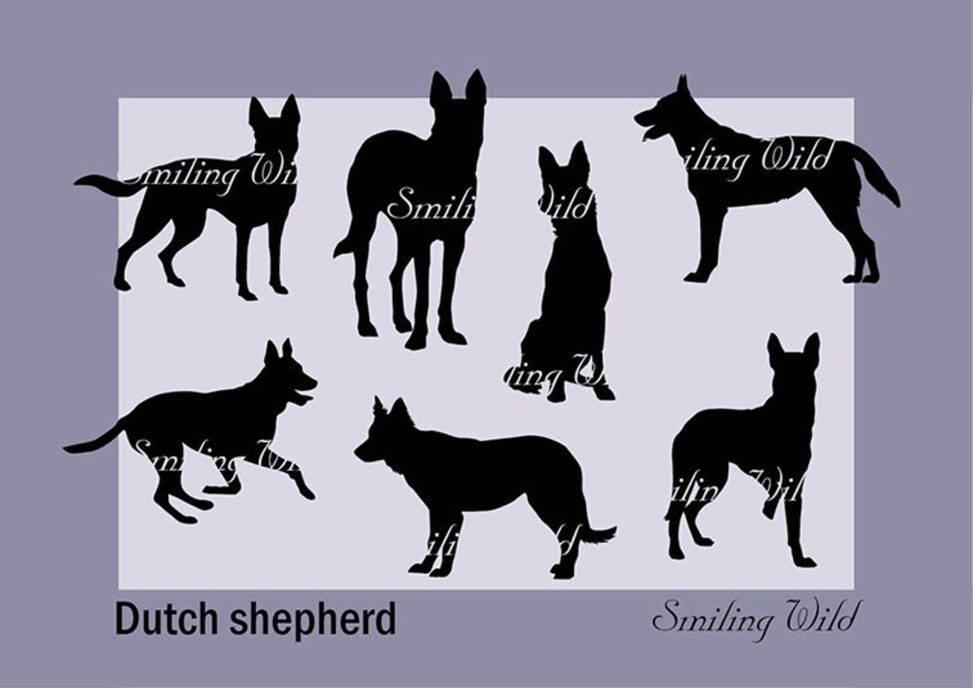 Dutch Shepherd Svg Dog Silhouette Vector Graphic Art Printable ...