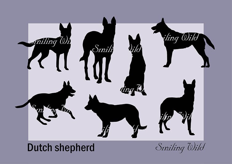 Dutch Shepherd Svg Dog Silhouette Vector Graphic Art Printable - Etsy